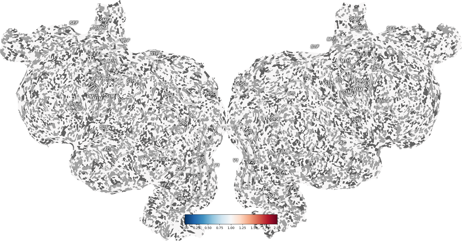 Ignore NaN not a number Values In Thickness Mapping Pycortex 1 2 4 